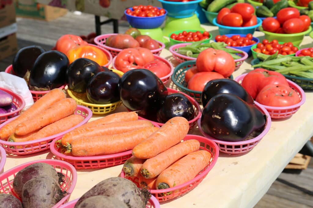 4 Must-Visit Farmers Markets In Panama City, Florida — Destination ...