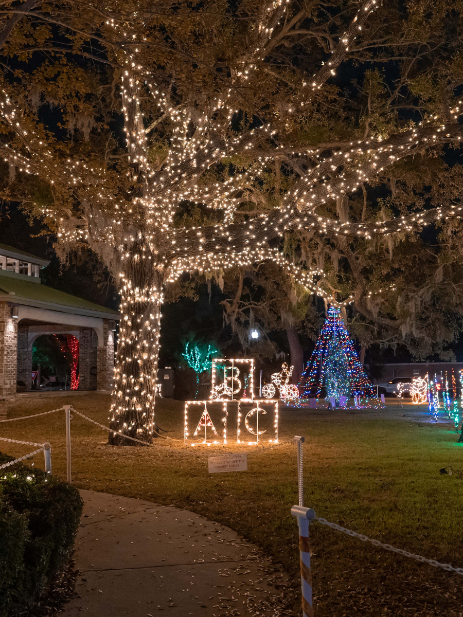 The Top Bucket List Ideas To Experience The Holidays In Panama City ...