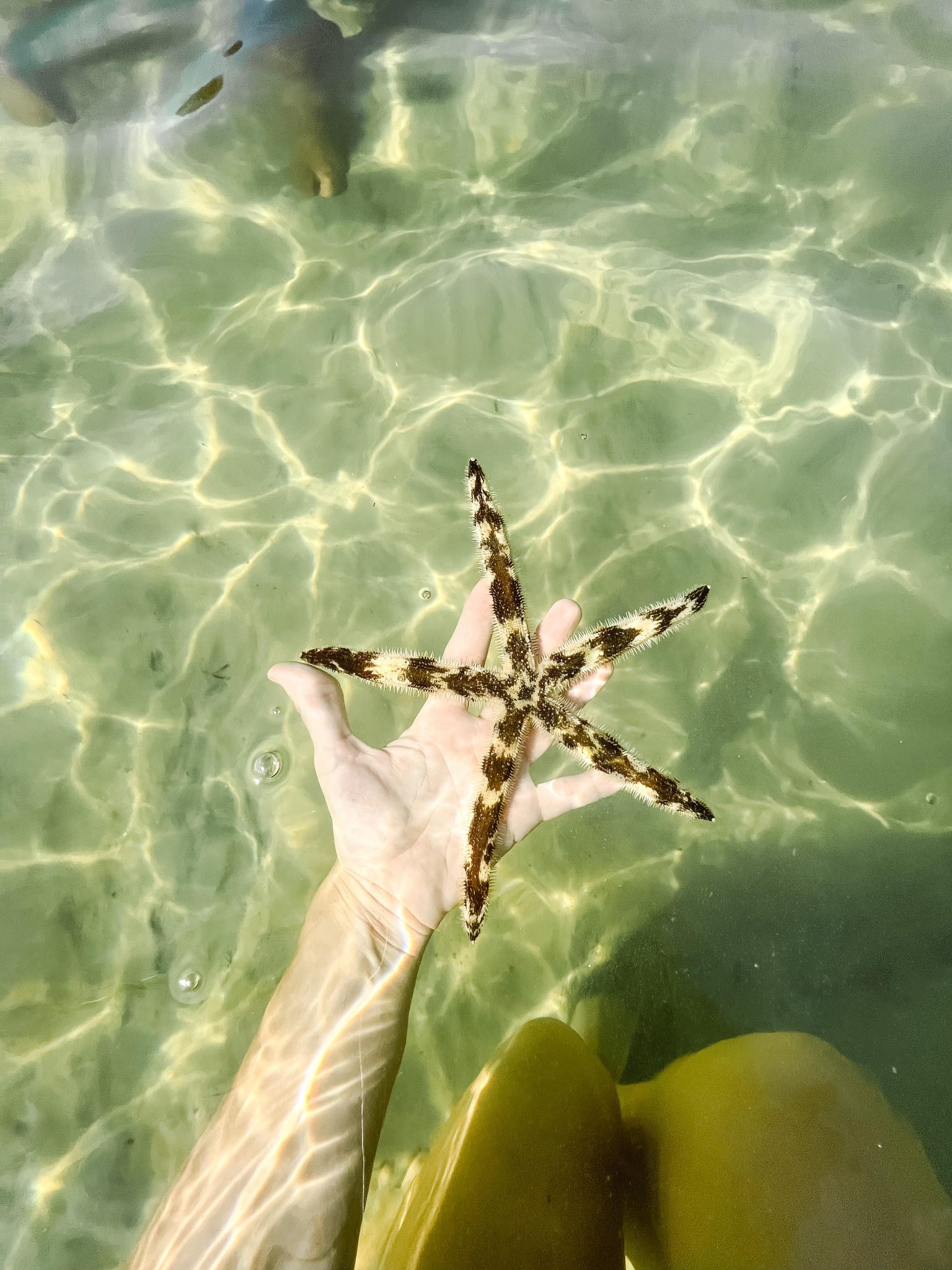 26 Unique Things To Do In Panama City In 2026 For Every Avid Traveler ...