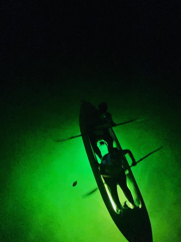 26 Unique Things To Do In Panama City In 2026 For Every Avid Traveler ...