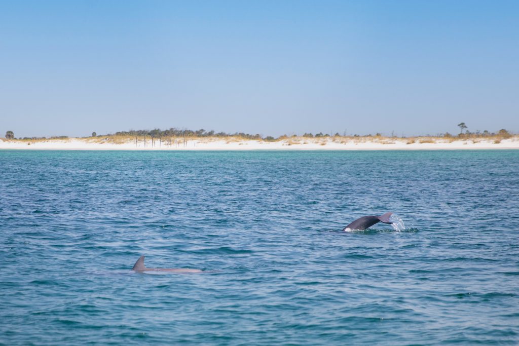 Panama City LovePC Boat — Destination Panama City
